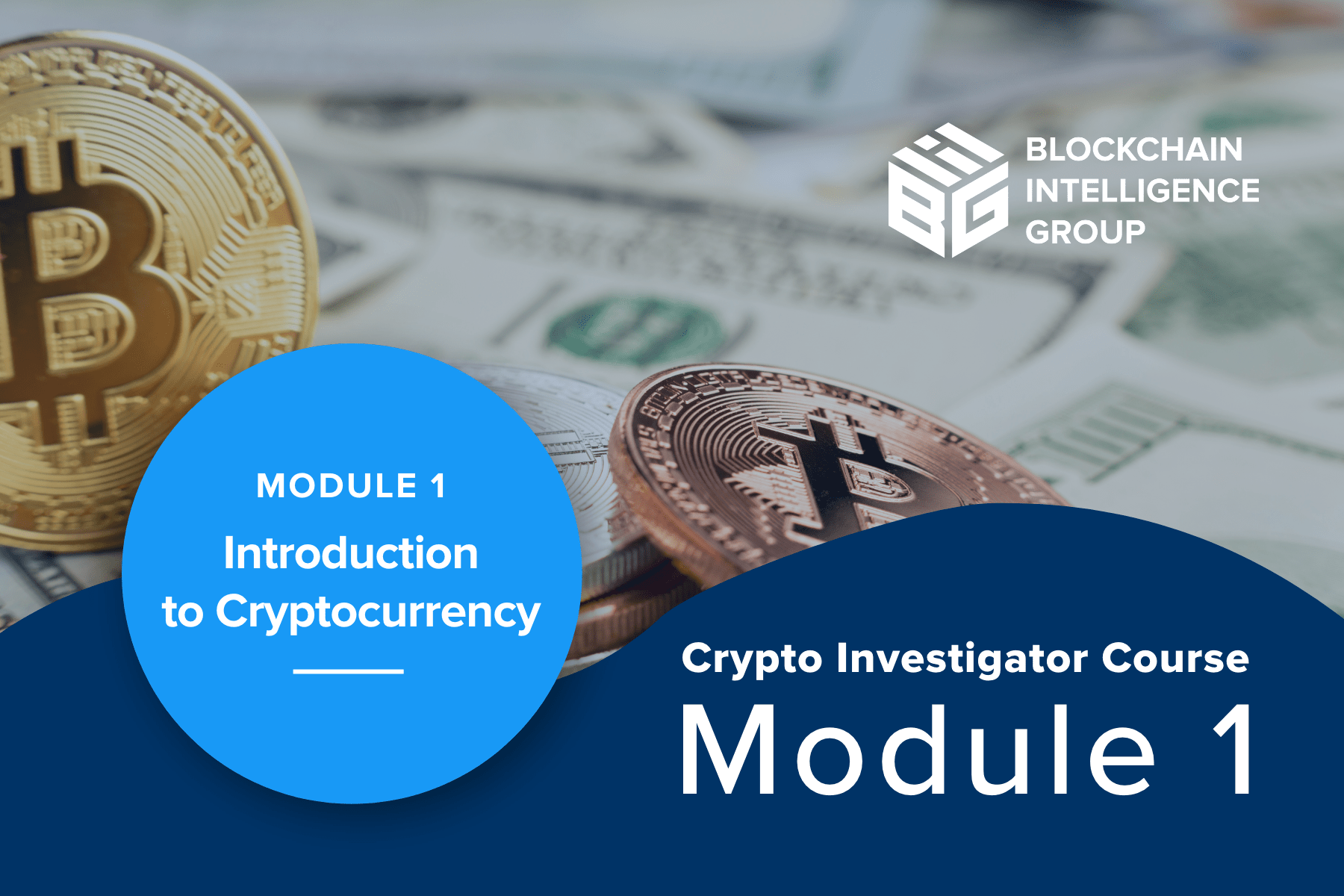 Bulk Purchase - CCI - Certified Cryptocurrency Investigator